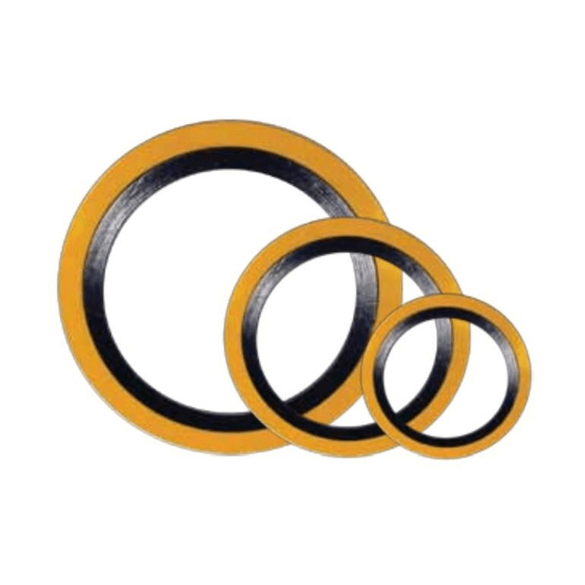 Stainless Steel S31803 Flange Gasket Types 3'' Class150 Color Coding