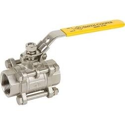 Dn25 Stainless Couplings Stainless Steel 304 Vertical Spring Check ...